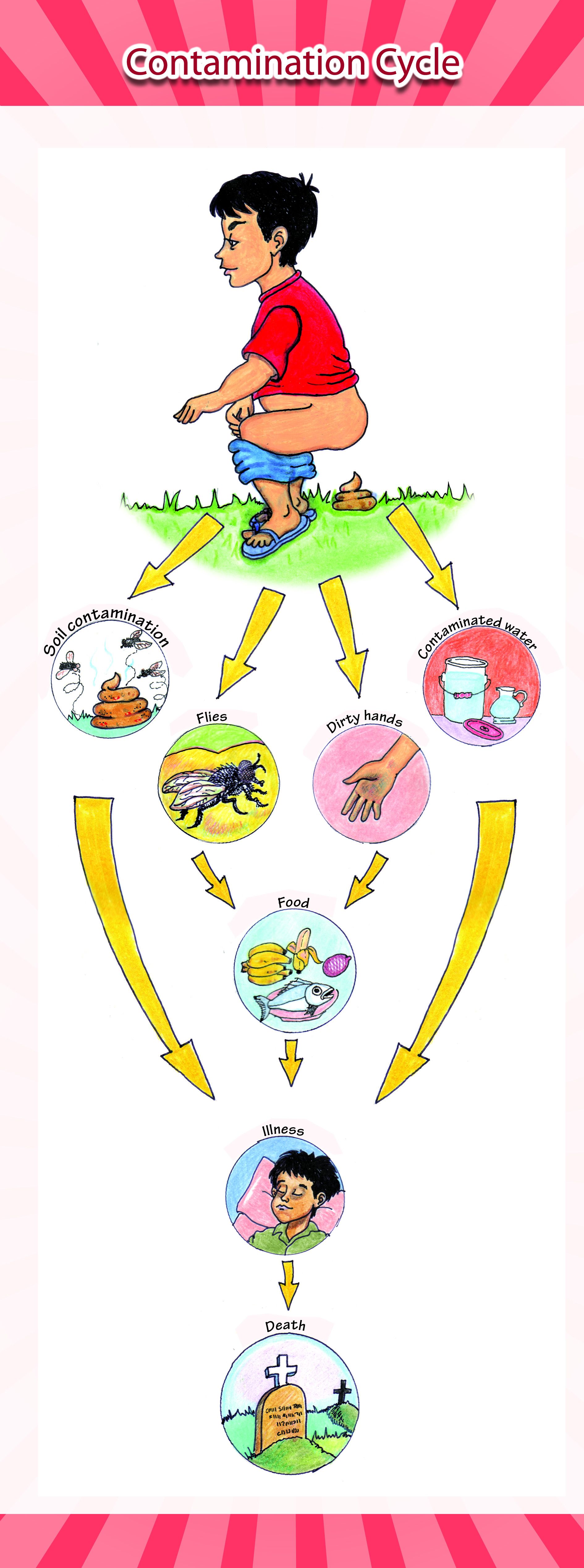 Interior of Contamination Cycle/Diarrhea-English - The Hygiene ...